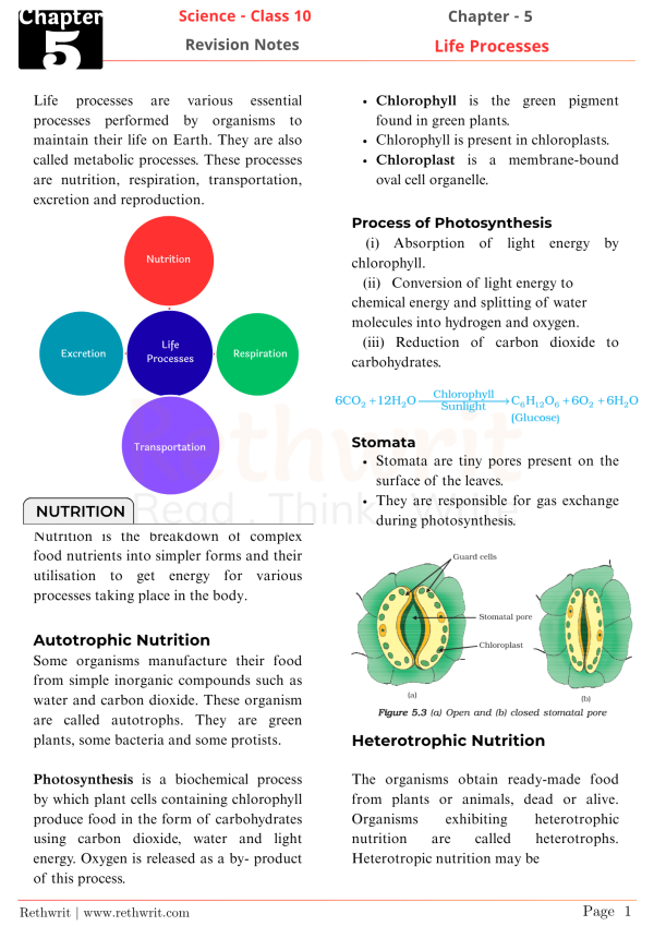 Chapter 5 - Life Processes Class 10 Notes