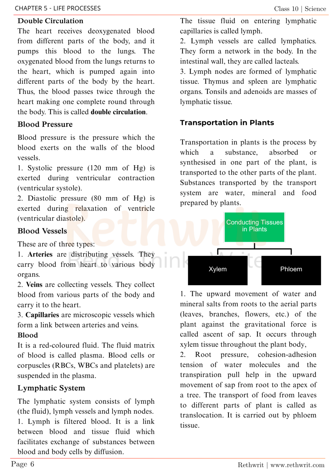 Chapter 5 - Life Processes Class 10 Notes