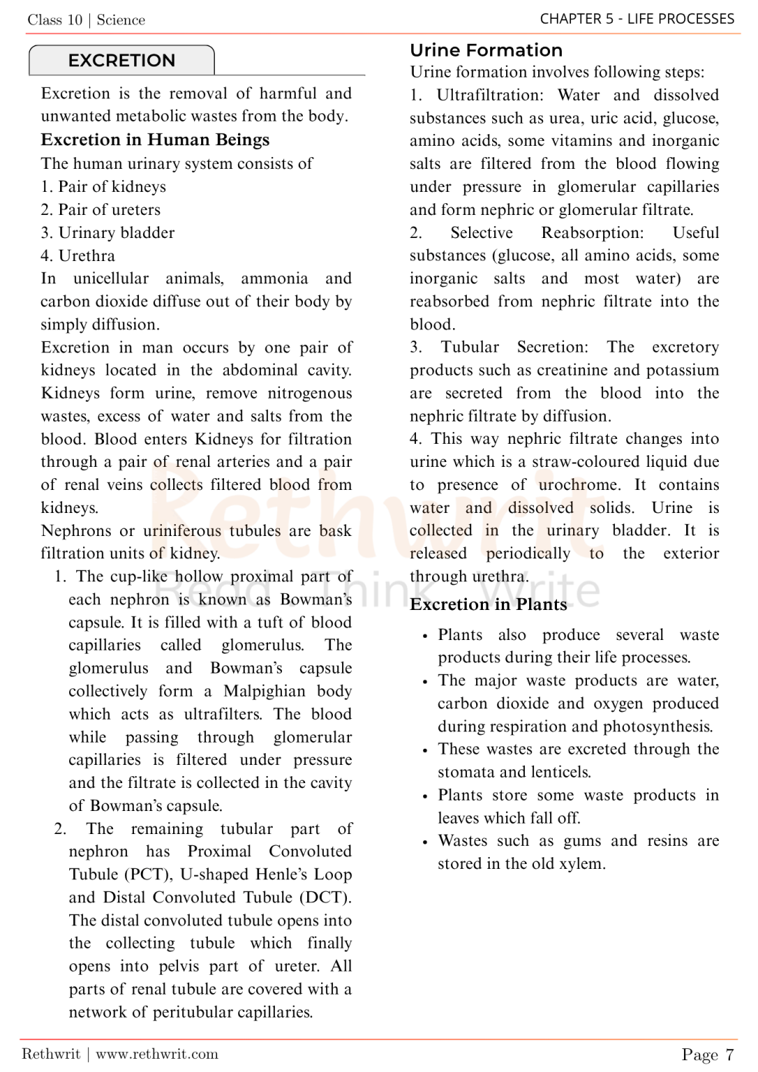Chapter 5 - Life Processes Class 10 Notes